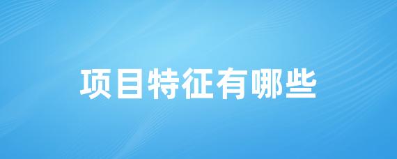 项目特征有哪些 • Worktile社区